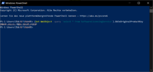 Windows Product Key auslesen