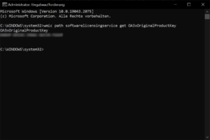 Windows Product Key auslesen